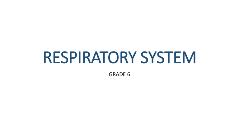 Respiratory System: Grade 6 - Functions, Diseases & Prevention