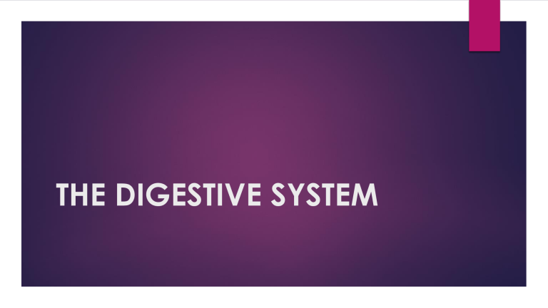 Digestive System: Functions, Organs & Regulation
