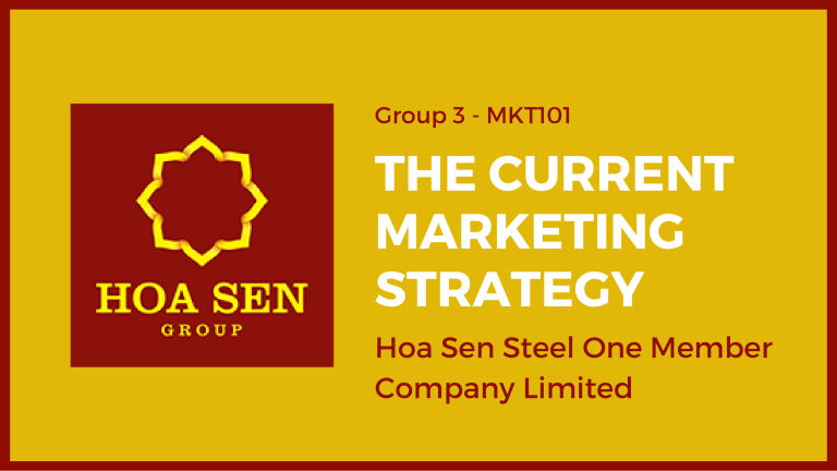 Hoa Sen Steel Marketing Strategy Analysis