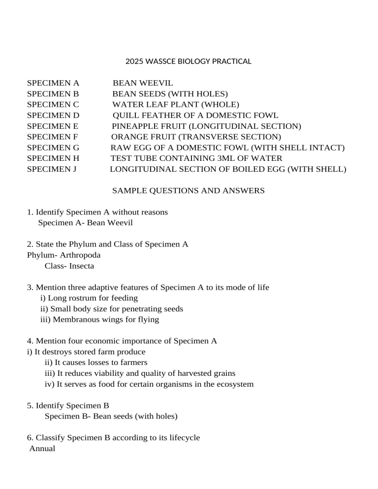 2025 WASSCE Biology Practical Exam: Specimen Identification