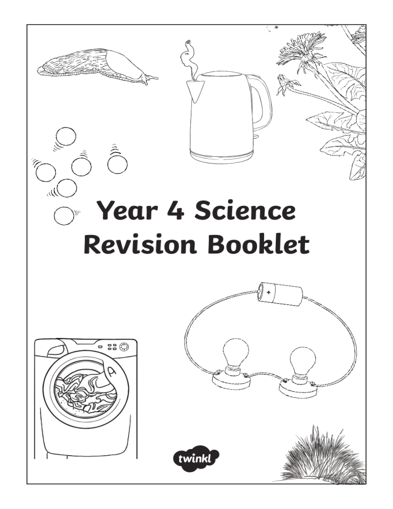 Year 4 Science Revision Booklet: Key Concepts & Activities