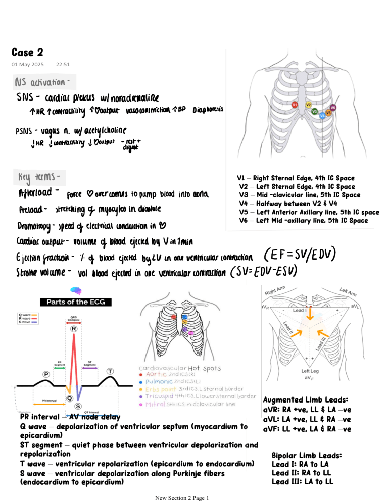 ECG & Cardiovascular Physiology Lecture Notes