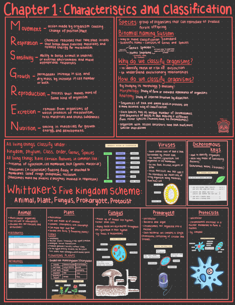 Characteristics & Classification of Organisms Study Notes