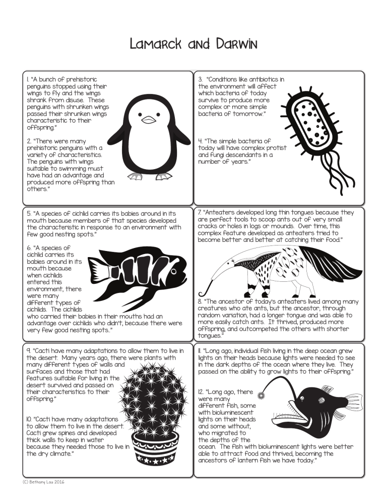 Lamarck vs. Darwin: Evolutionary Theories Worksheet