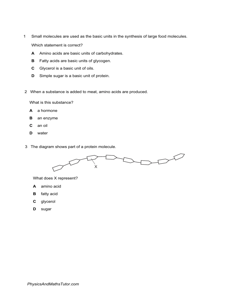 Biology Exam Questions: Food Molecules & Nutrients