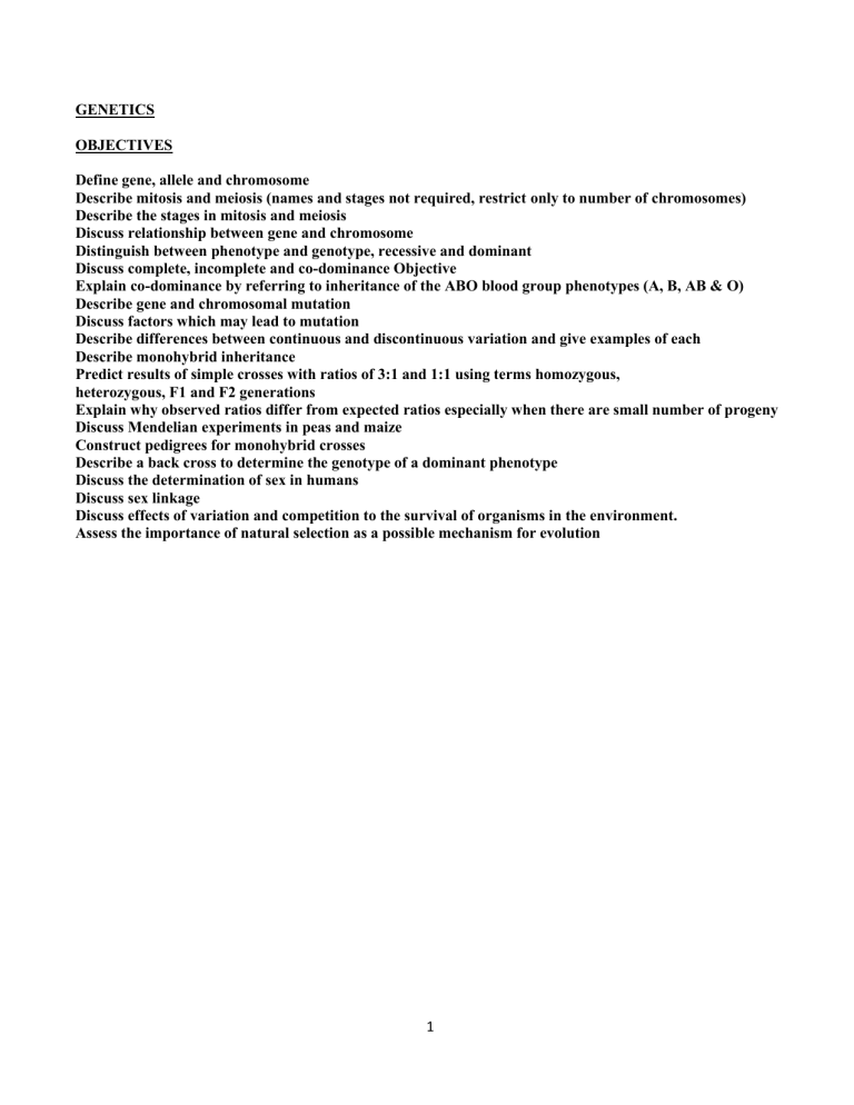 Genetics Study Guide: Mitosis, Meiosis, Inheritance
