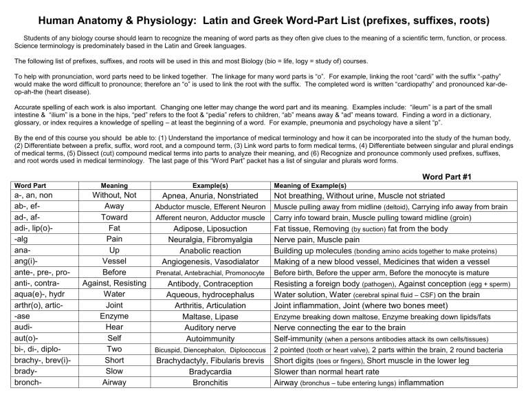 Anatomy & Physiology Word Parts: Prefixes, Suffixes, Roots