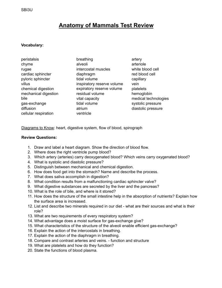Anatomy of Mammals Test Review - SBI3U