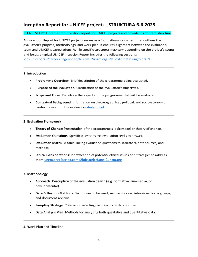 UNICEF Project Inception Report Structure