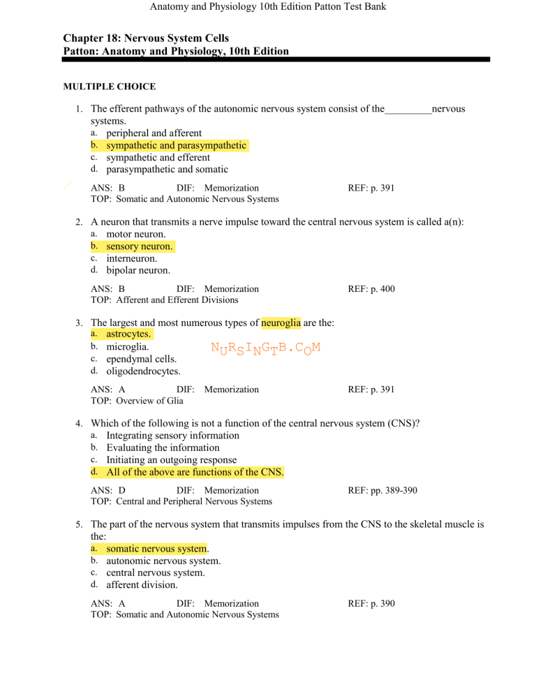 Anatomy & Physiology: Nervous System Cells Test Bank