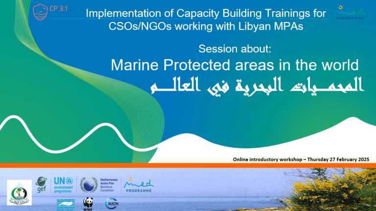 Marine Protected Areas Worldwide: An Overview