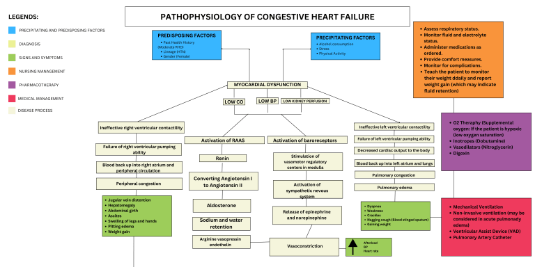 Congestive Heart Failure Pathophysiology Flowchart