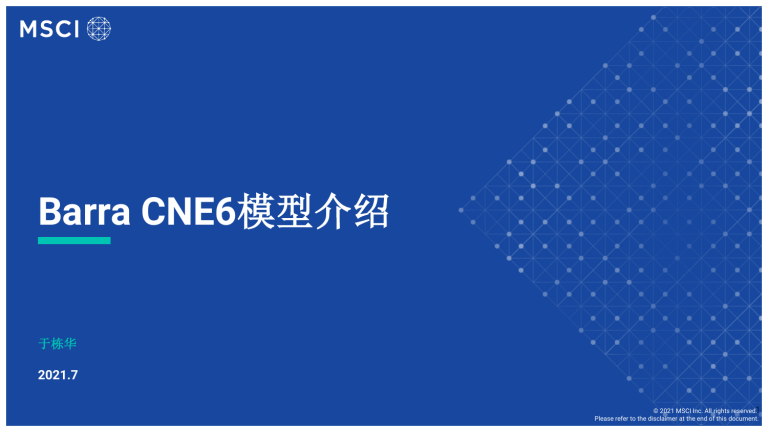 Barra CNE6 Model: Factor Structure & New SES Factors