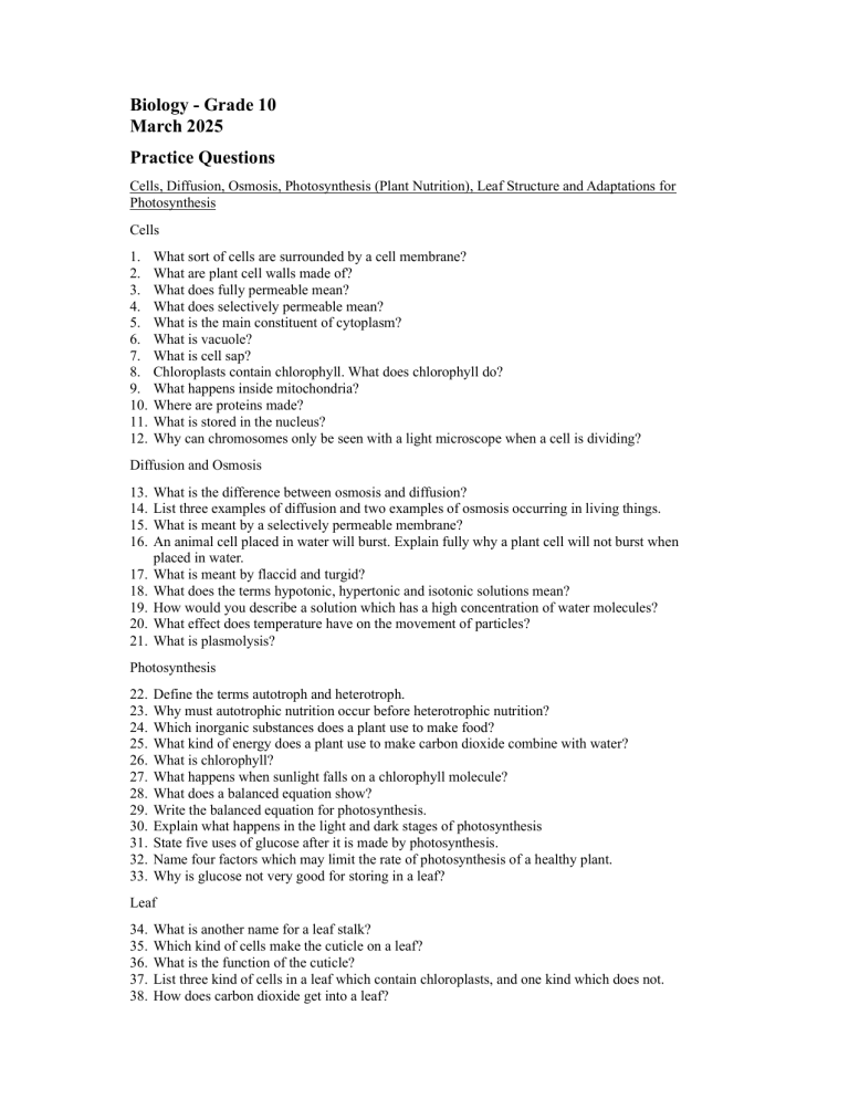 Biology Practice Questions: Cells, Photosynthesis, Leaf Structure