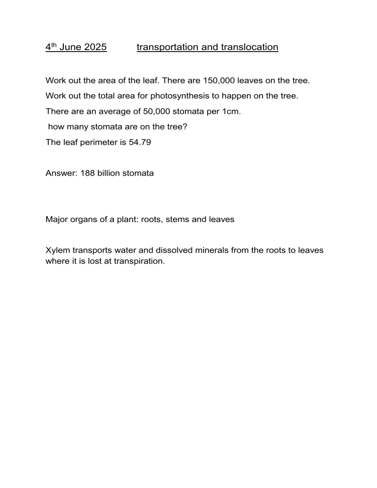 Plant Transportation & Translocation Worksheet