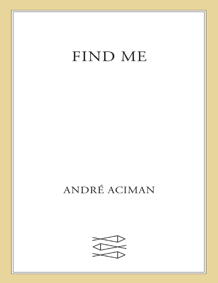 Find Me Novel Excerpt: A Train Encounter
