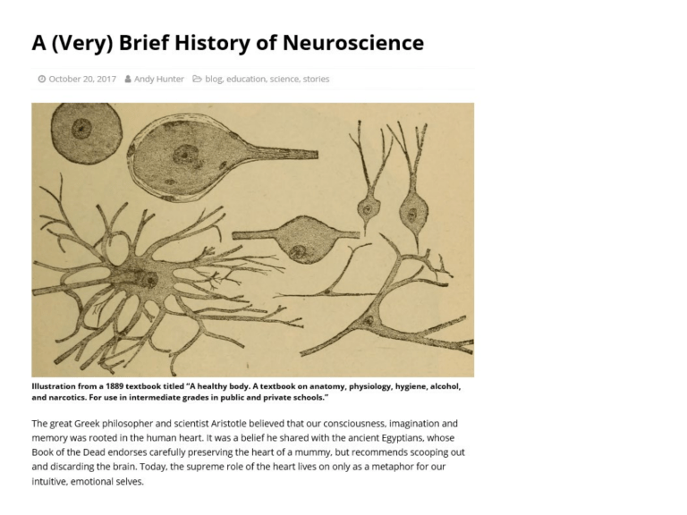 A Brief History of Neuroscience