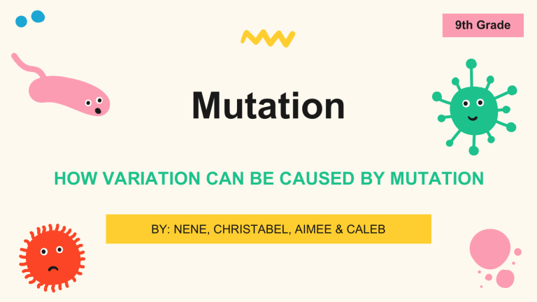 Mutation: How it Causes Variation - 9th Grade Biology