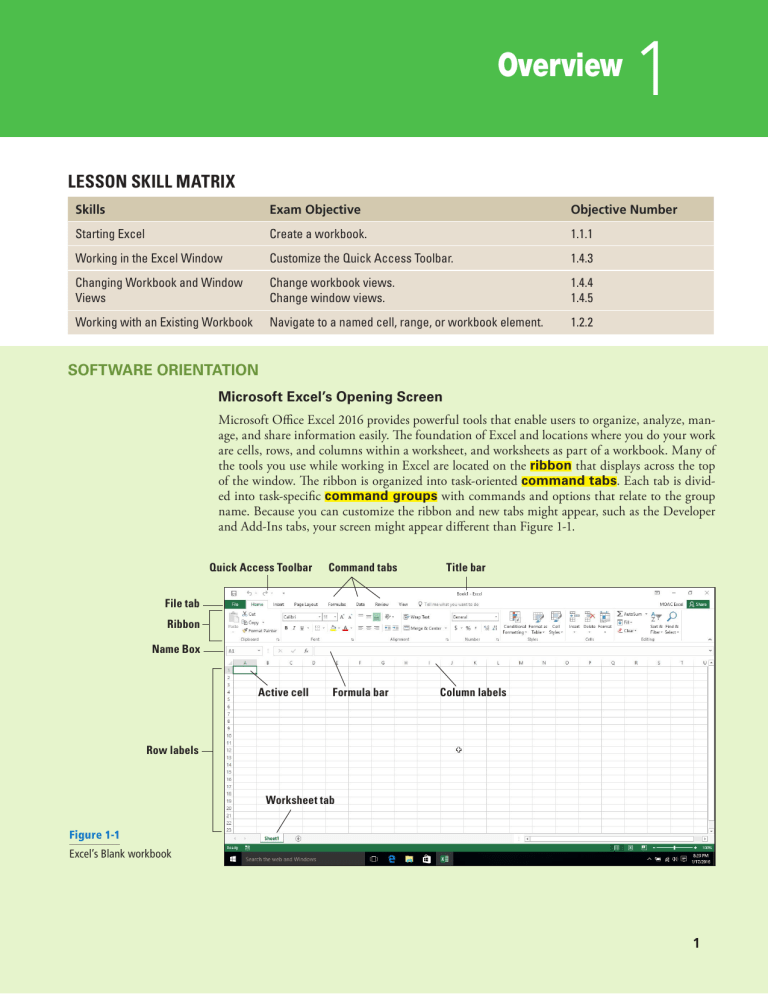 Excel 2016 Basics: Workbook Creation & Customization