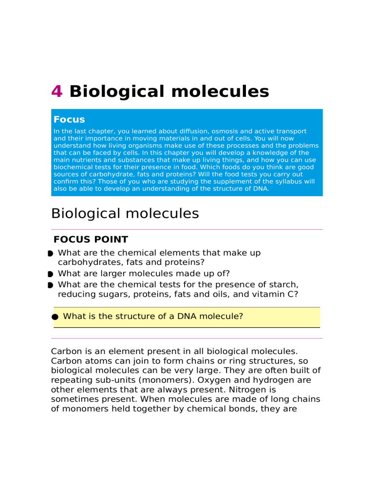 Biological Molecules: Carbs, Fats, Proteins, DNA