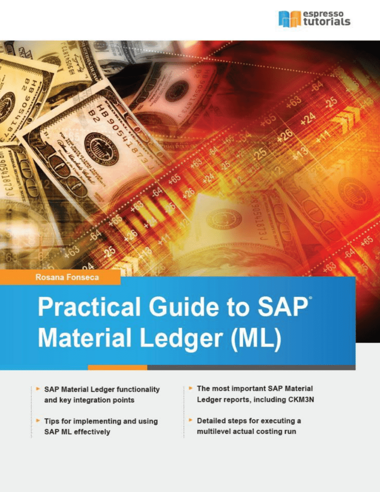 SAP Material Ledger Guide: Implementation & Actual Costing
