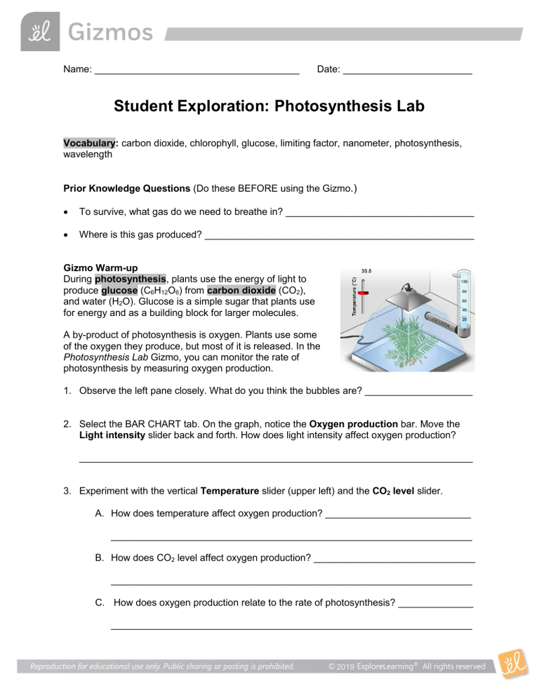 Photosynthesis Lab: Student Exploration Guide & Experiment