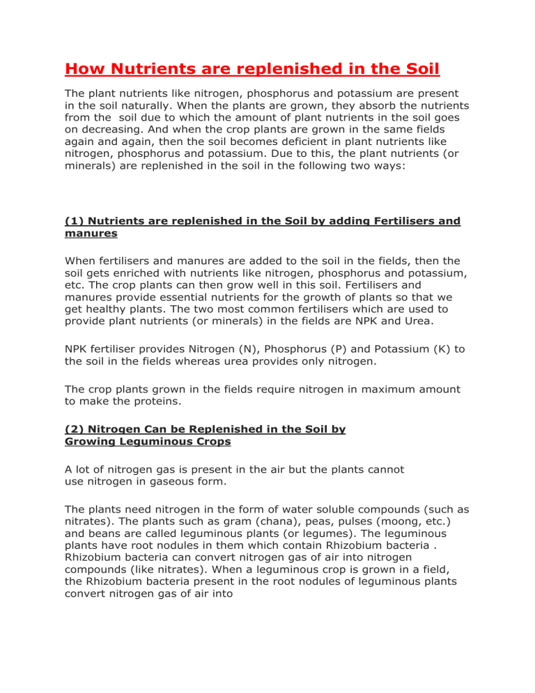 Soil Nutrients & Cell Structure: Middle School Biology