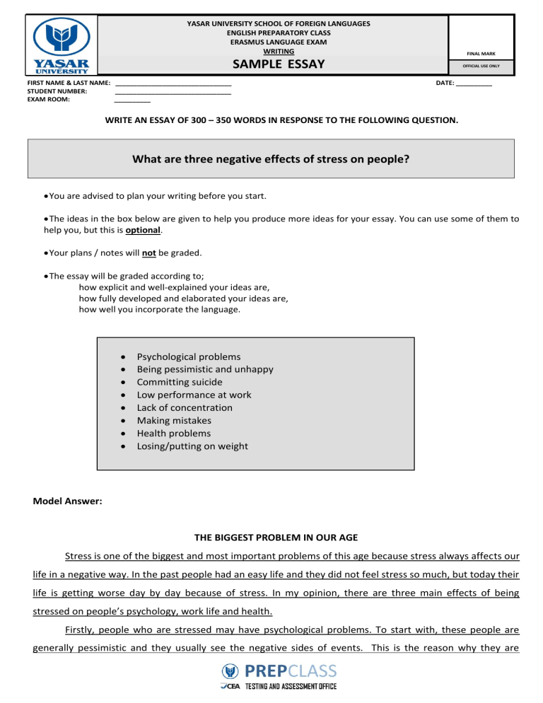 Erasmus English Language Exam: Sample Essay for Writing Test