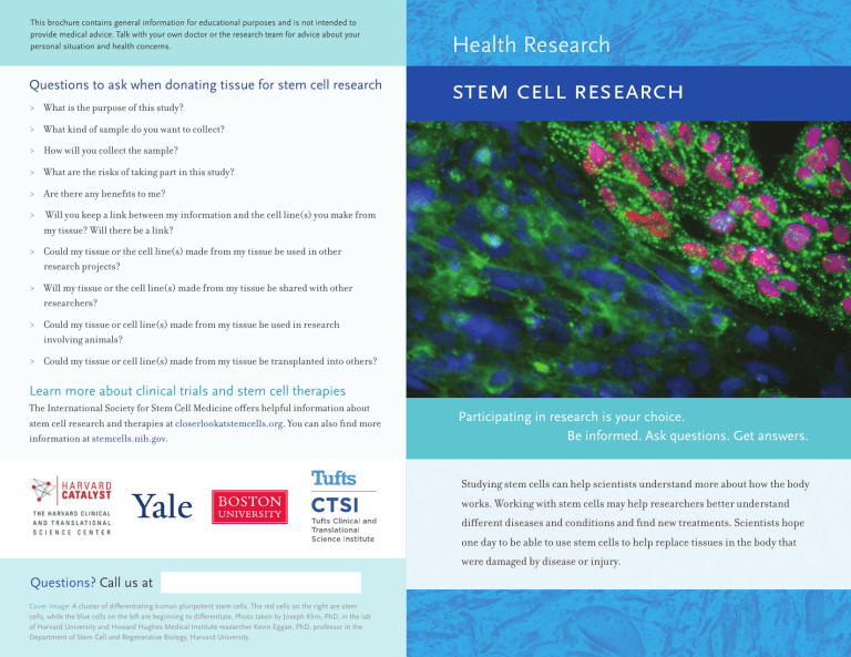 Stem Cell Research: Questions to Ask & Key Info