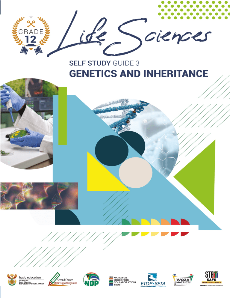 Genetics and Inheritance Self-Study Guide for High School