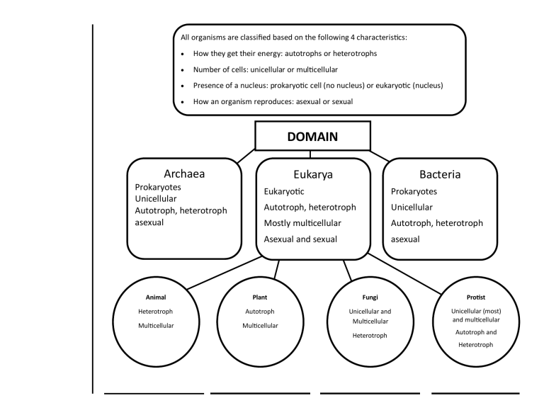 Organism Classification Chart: Domains & Kingdoms