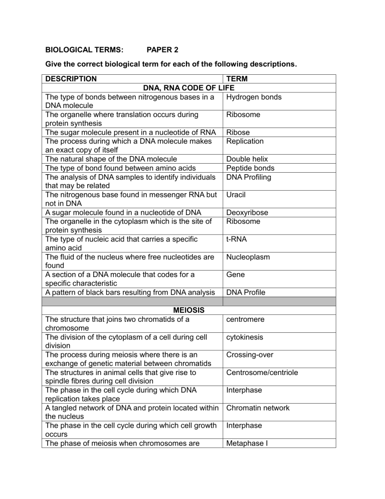 Biology Worksheet: DNA, Meiosis, Genetics, Evolution
