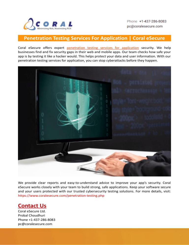Penetration Testing Services For Application