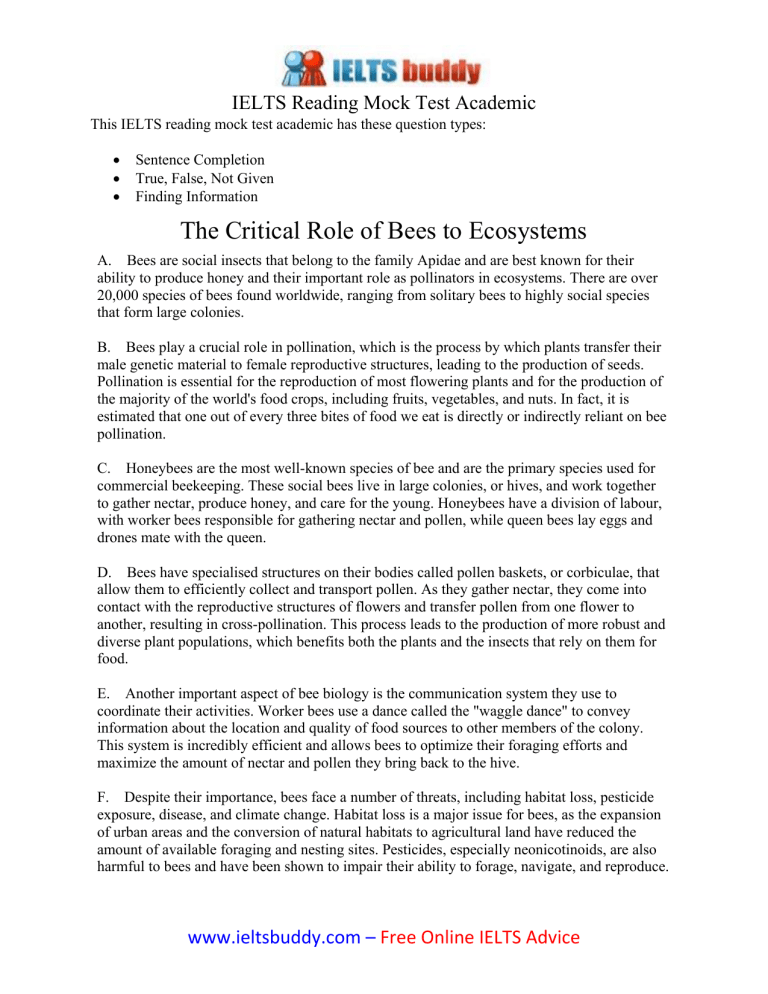 IELTS Reading: Bees & Ecosystems Mock Test