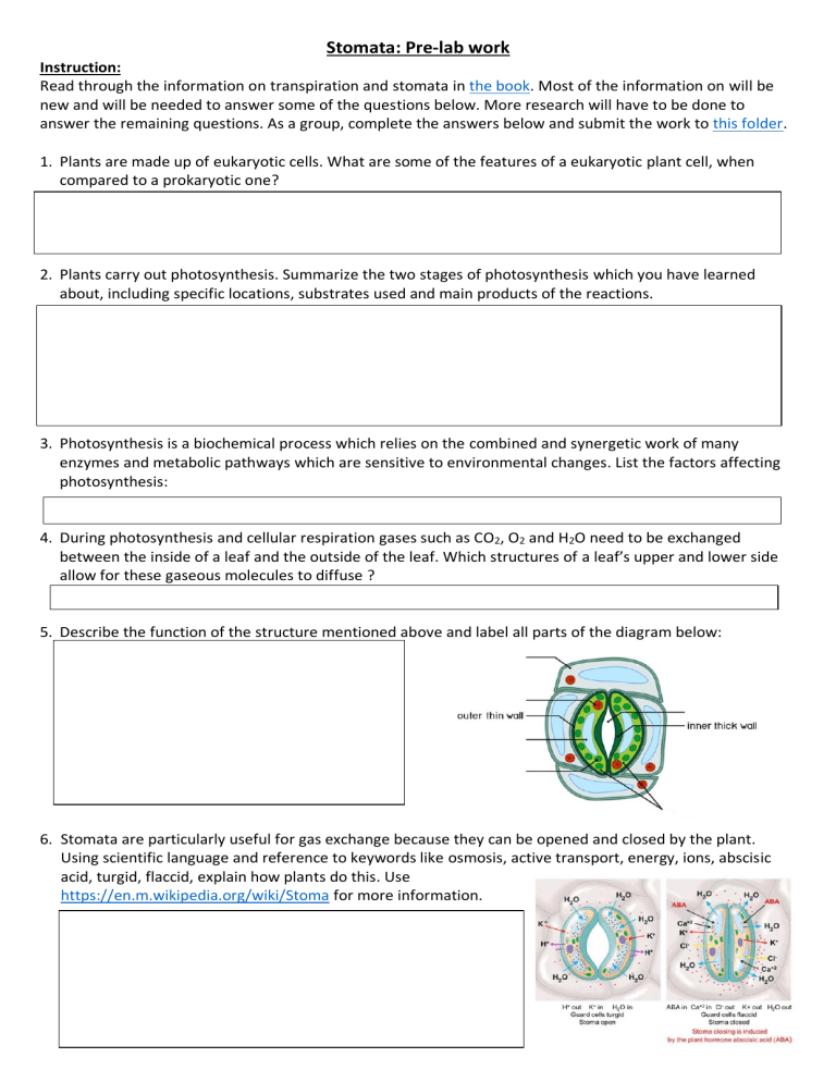 Stomata: Pre-Lab Worksheet - Photosynthesis & Transpiration