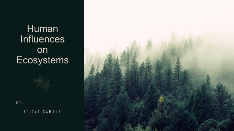 Human Influences on Ecosystems: Impacts & Solutions