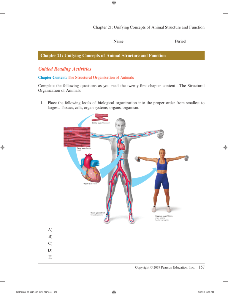 Animal Structure & Function Guided Reading Activity