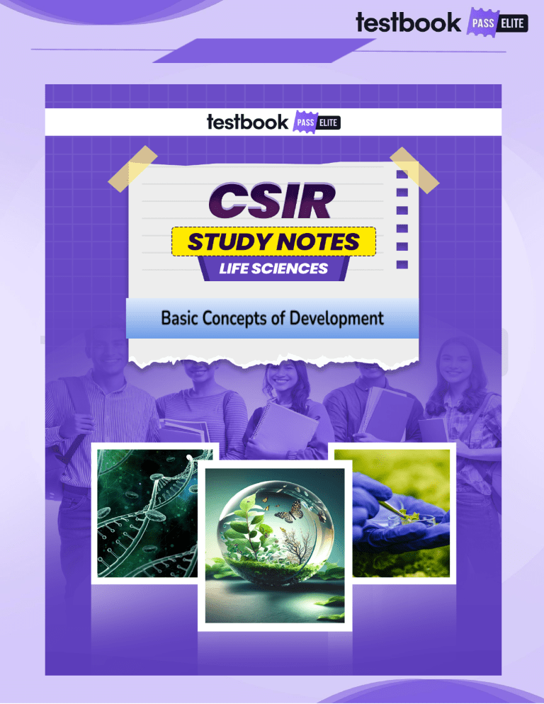 Cell Differentiation & Specification Study Notes