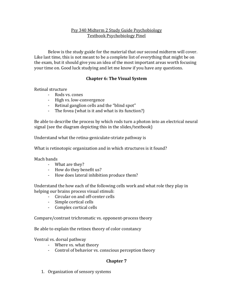 Psychobiology Midterm 2 Study Guide: Visual & Auditory Systems