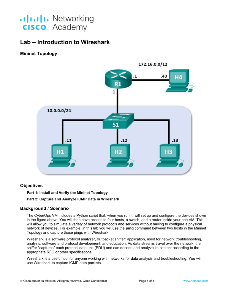Introduction to Wireshark Lab: Packet Analysis with Mininet Topology