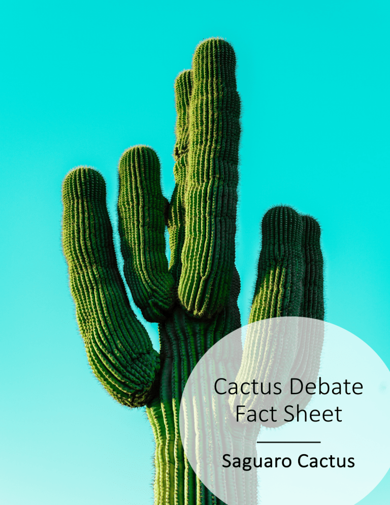 Saguaro Cactus Fact Sheet: Carnegiea gigantea Guide