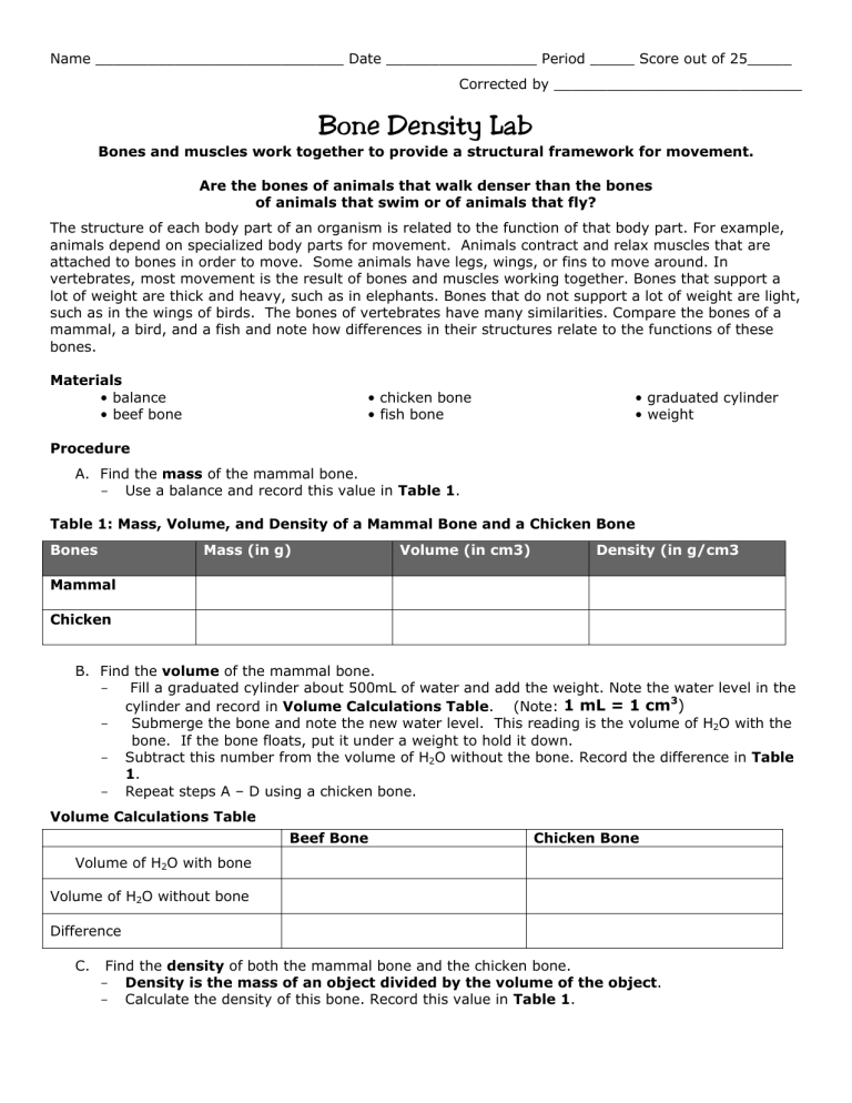 Bone Density Lab: Mammal, Bird, Fish Bone Comparison & Density Calculation