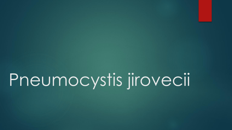 Pneumocystis jirovecii Pneumonia: Symptoms, Diagnosis, Treatment