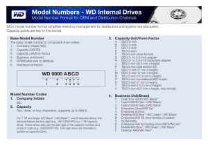 WD Internal Drive Model Number Format Explained