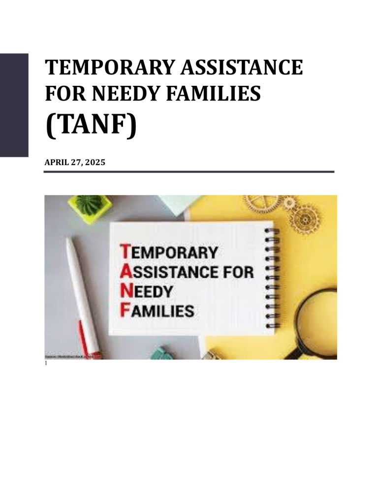 TANF Program Analysis: Social Justice & Policy Recommendations