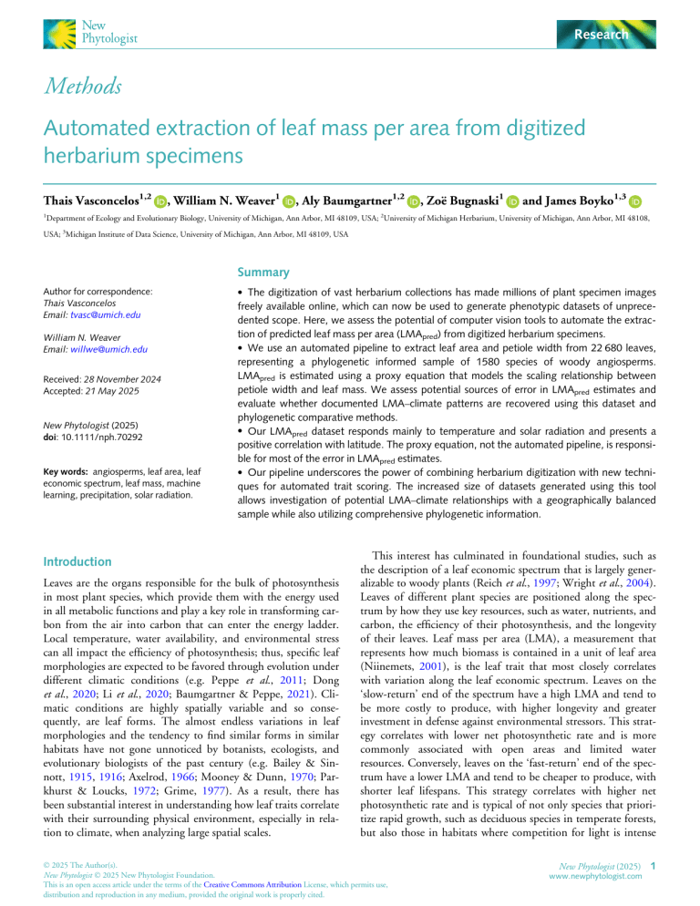 Automated Leaf Mass Extraction from Herbarium Specimens