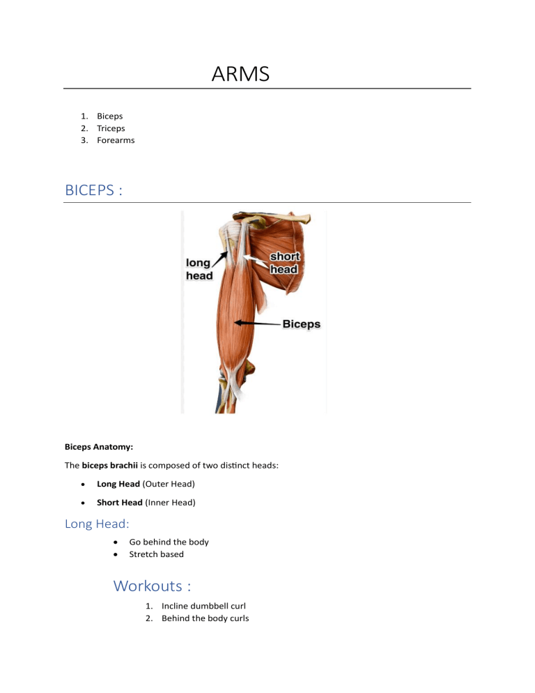 Arm Workout Guide: Biceps, Triceps, Forearms