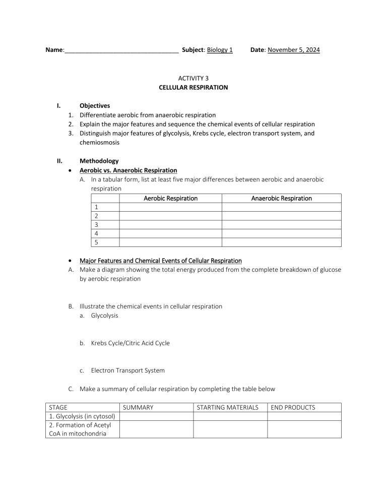Cellular Respiration Activity: Biology Worksheet