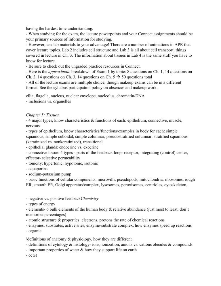 Anatomy & Physiology Exam 1 Study Guide