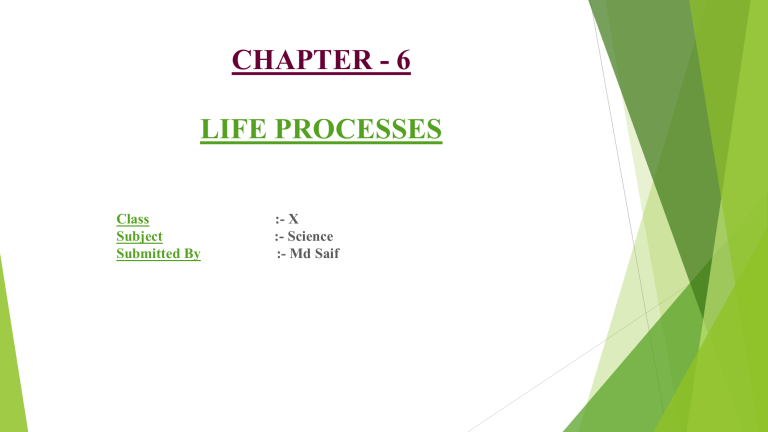 Life Processes: Class 10 Science Notes